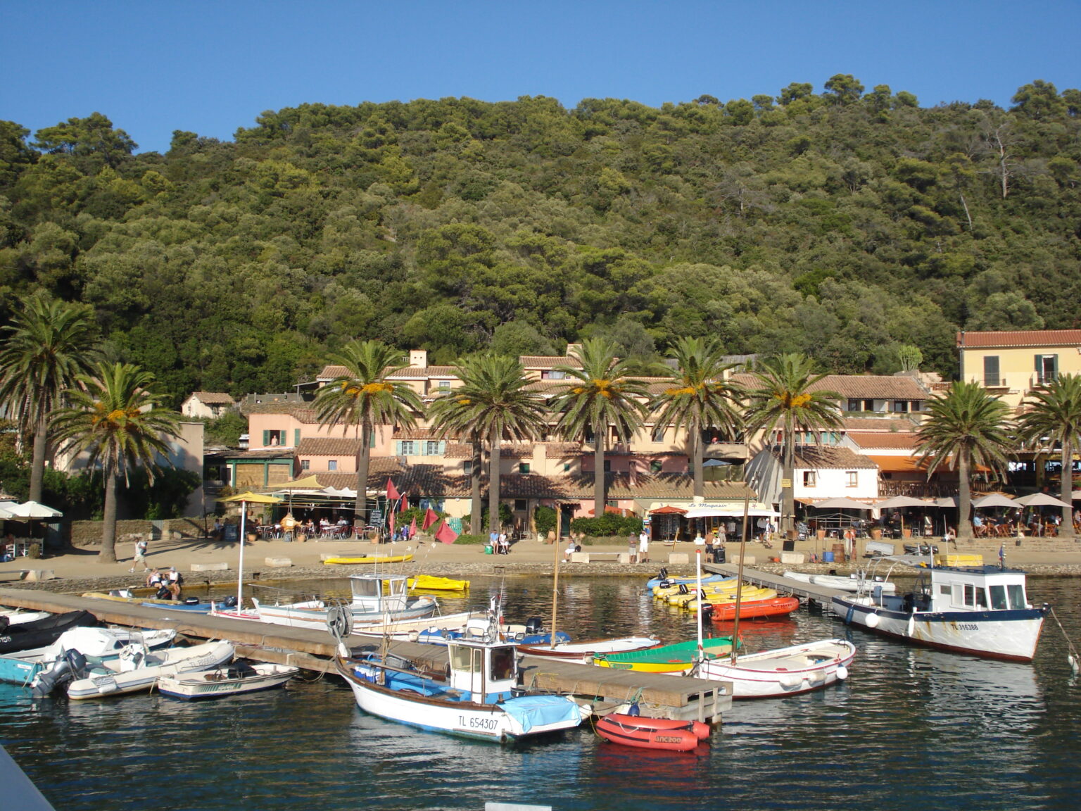 Île de Port-Cros - Les Bateaux Verts - Navettes et excursions
