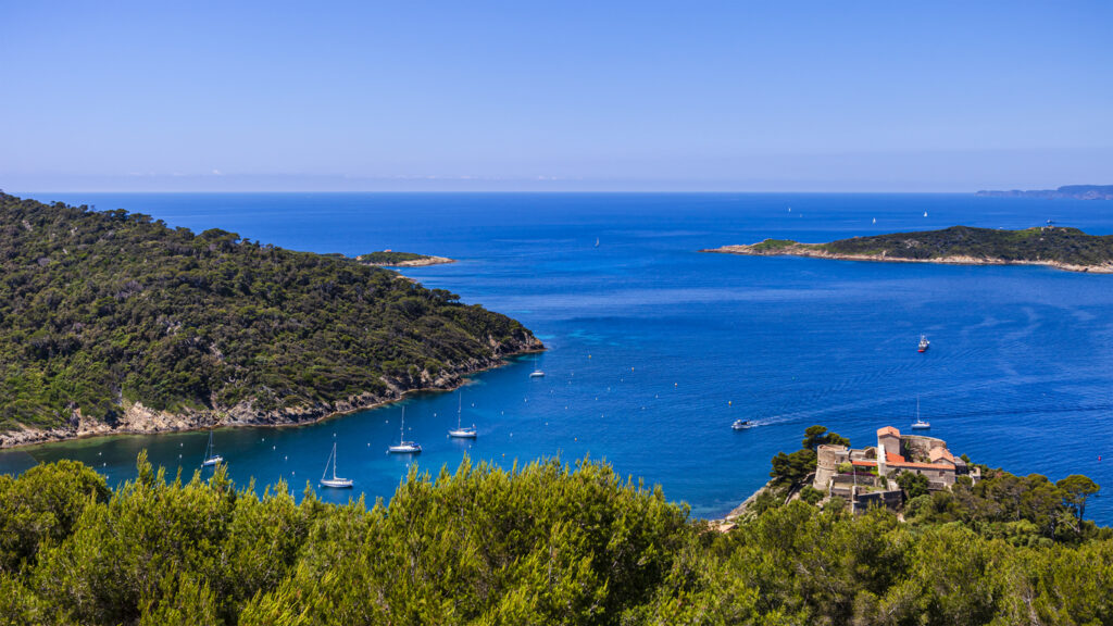 Île de Port-Cros - Les Bateaux Verts - Navettes et excursions